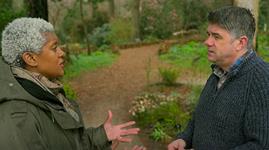 TV peat analysis finds peat-free availability 'there or thereabouts ...