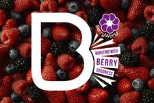 BerryWorld celebrate double win at 2021 International Taste Institute ...