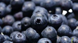 Berry grower records strong results | HortWeek