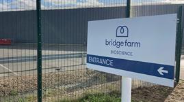 Motala leaves Bridge Farm | HortWeek