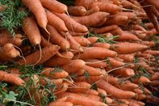Call for carrot research papers | HortWeek