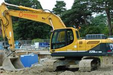 What makes the CAVAT method so useful in protecting urban trees? | HortWeek