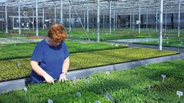 Defra finds dearth of female and young agricultural workers | HortWeek