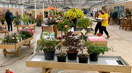 Upcoming horticulture events UPDATED | HortWeek