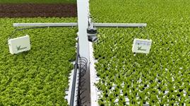 GreenTech sees launch of grower plant health and productivity product ...