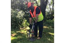 Biochar root injection successfully treats 250th tree | HortWeek
