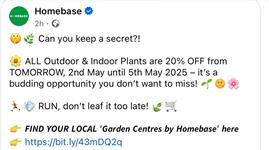 Homebase reduces plant prices by 20% | HortWeek