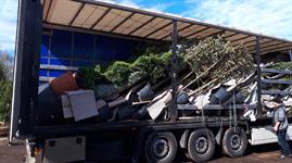 Winners and losers this horticulture week | HortWeek