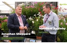 VIDEO: Cosmos national collection holder Jonathan Sheppard | HortWeek
