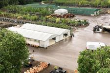 Joseph Rochford Gardens improves returns | HortWeek