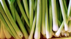 Veg Disease Alert: risk of rust on leek | HortWeek