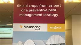 New insecticide to help manage western flower thrip resistance in ...