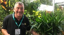 How one grower is trading its way out of Wilko bad debts | HortWeek
