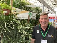 Opperman Plants develops GB-grown houseplant market | HortWeek