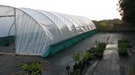 Plant health alert: start weed control | HortWeek