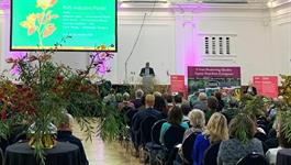 RHS peat-free advice for growers: In-depth analysis | HortWeek