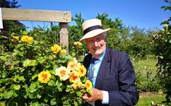 Peter's Persica launched by Wharton's Roses in honour of Peter Seabrook ...