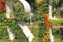 RHS in garden shows rethink UPDATED | HortWeek