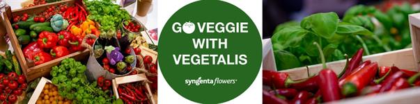 Syngenta launches vegetable range | HortWeek