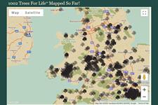 Frank P Matthews creates national tree map as sales to garden centres ...