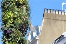 Andrew Maskell joins Scotscape’s urban greening division | HortWeek