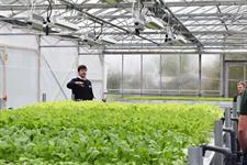 LettUs Grow launch aeroponic benches | HortWeek