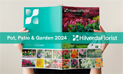 Hilverda Florist launches new catalogue | HortWeek