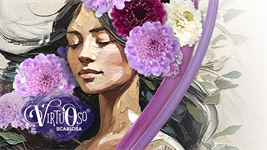 Hilverda Florist launches Virtuoso scabiosa | HortWeek