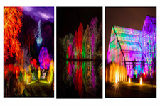 Tickets for the winter event Glow at the RHS Gardens go on sale from 2 ...