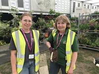 Seabrook to be remembered at Chelsea | HortWeek