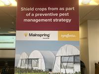 Mainspring insecticide launched to tackle caterpillars and thrips in ...