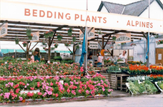 Squire's Colin Squire reflects on garden centre industry changes as ...