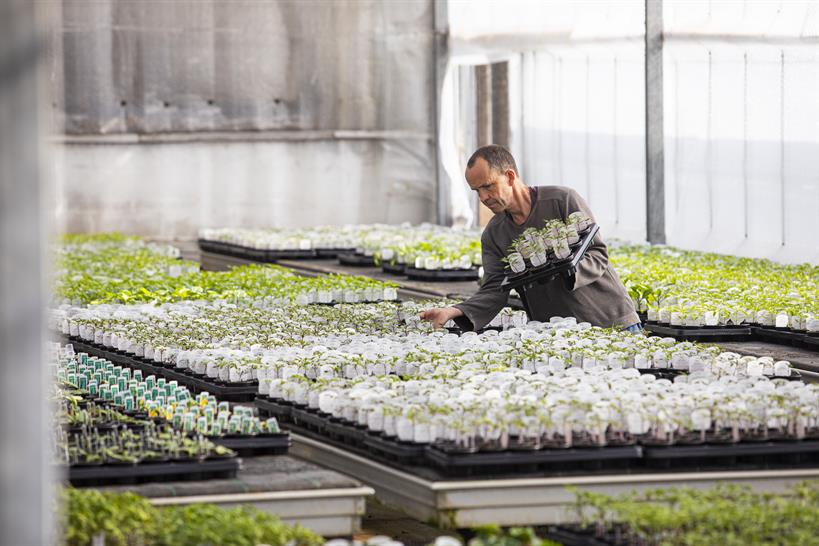 Fargro: a company profile | HortWeek