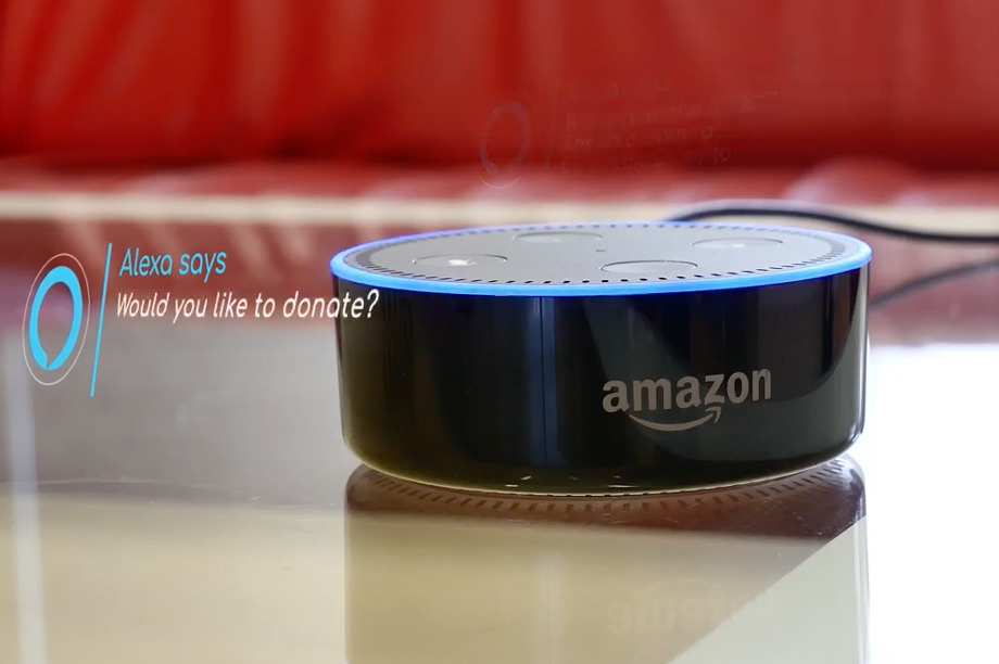 NSPCC and Addition launch Amazon Alexa donation skill | Third Sector