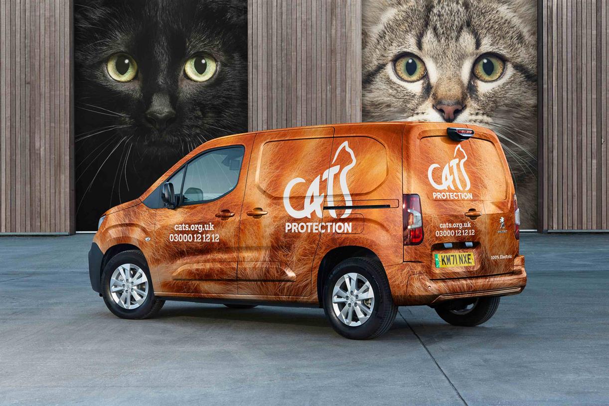 Cats Protection rebrands | Third Sector