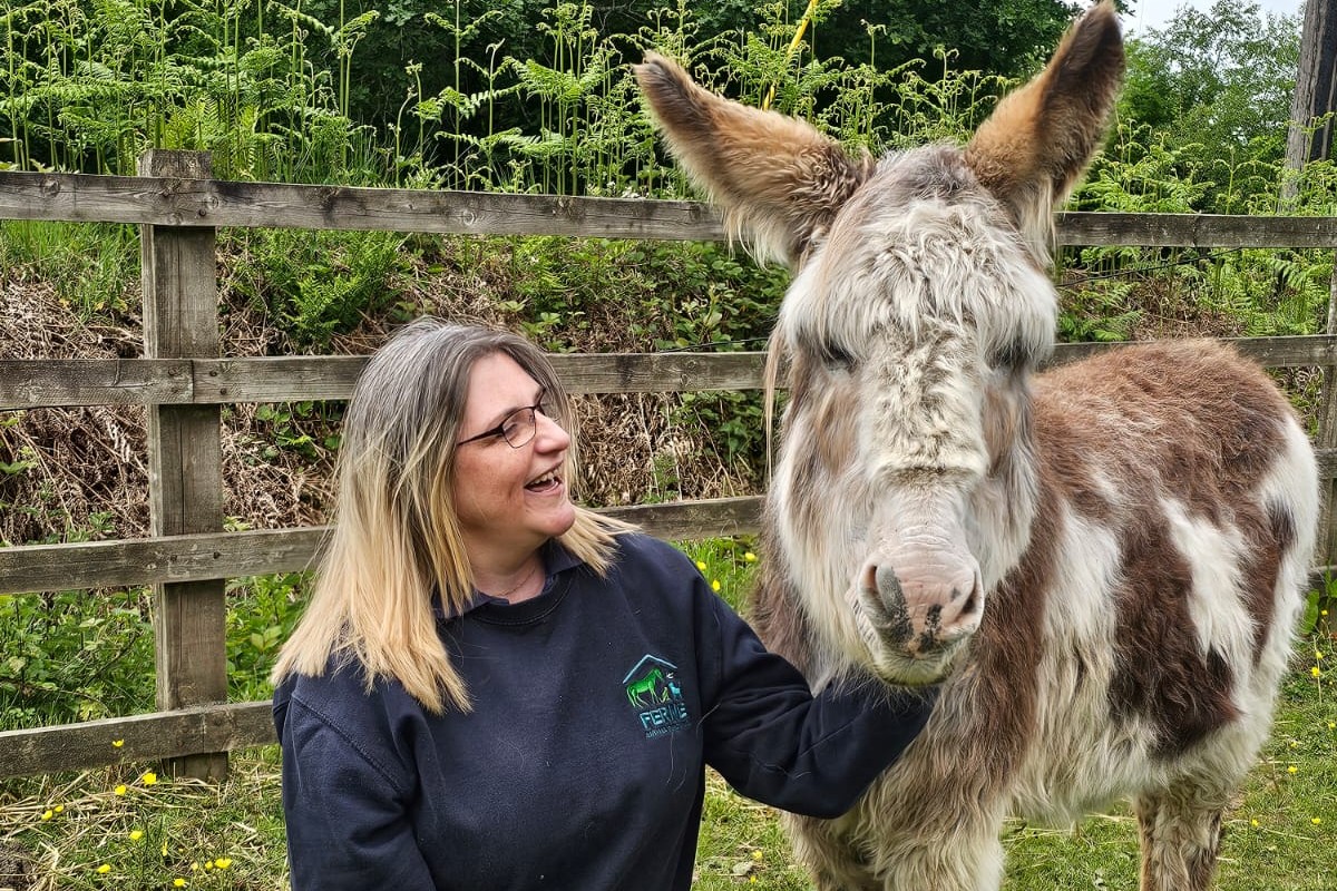 Animal charity promotes interim chief | Third Sector
