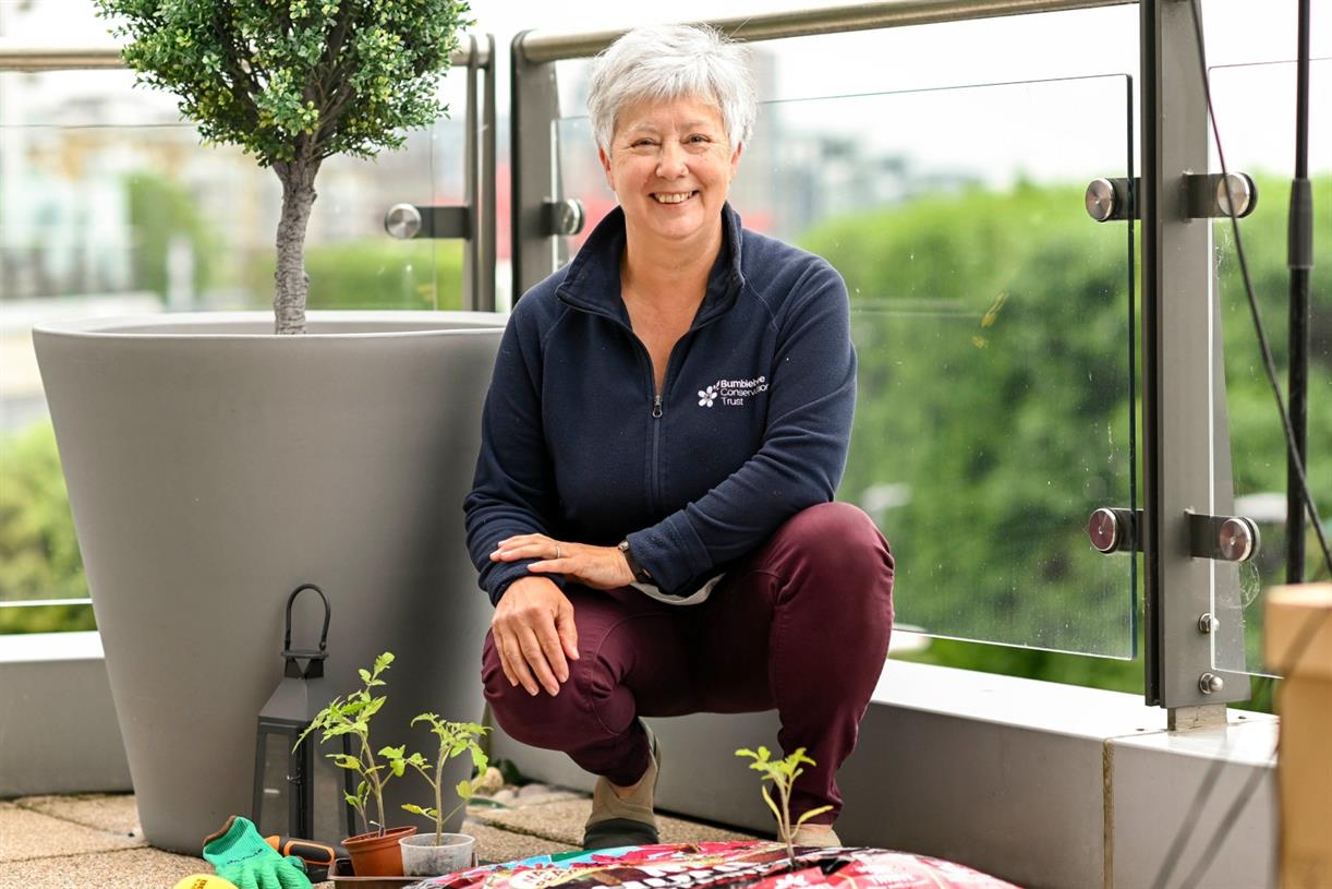 Bumblebee charity chief to retire | Third Sector