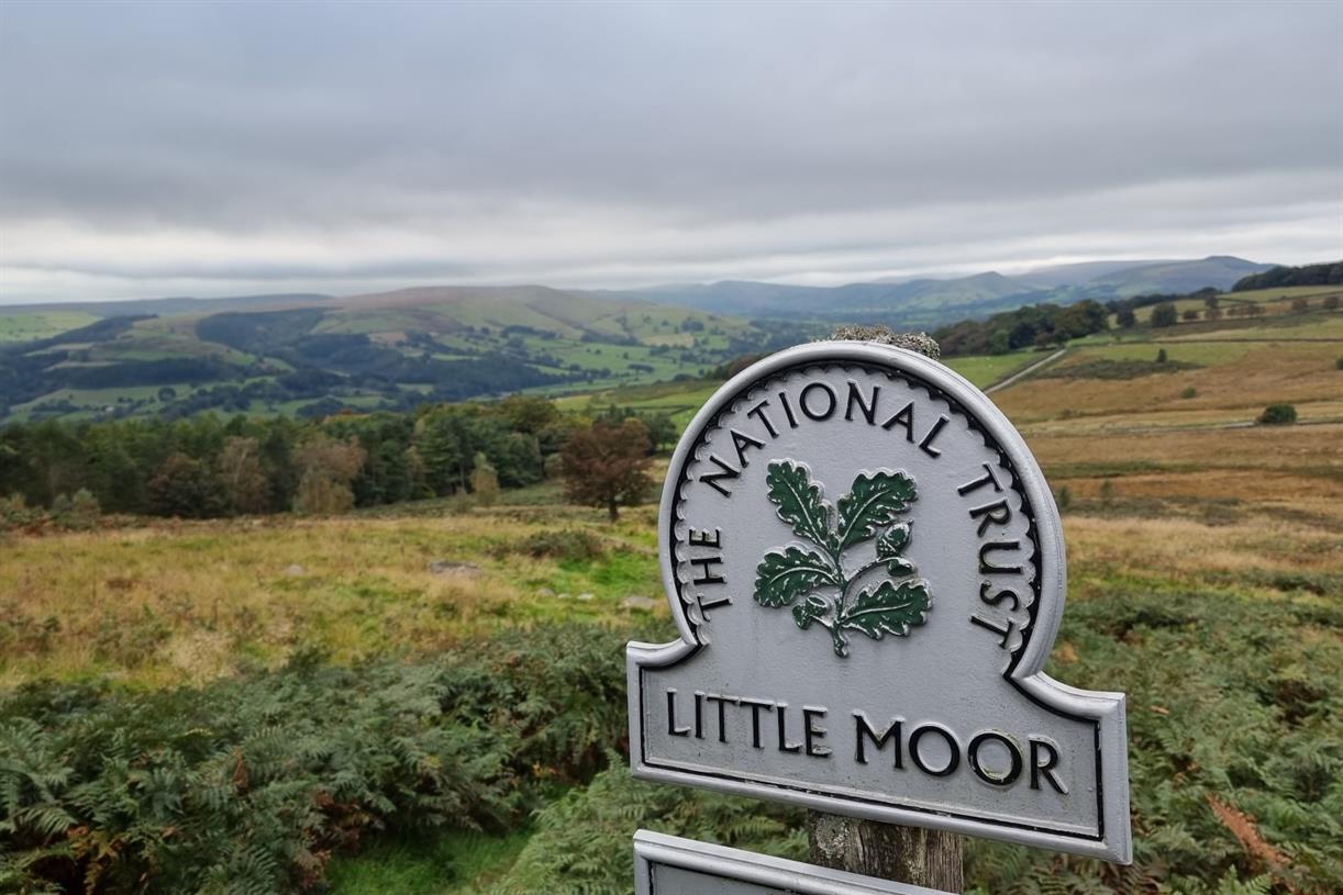 National Trust members narrowly reject motions from protest group at ...