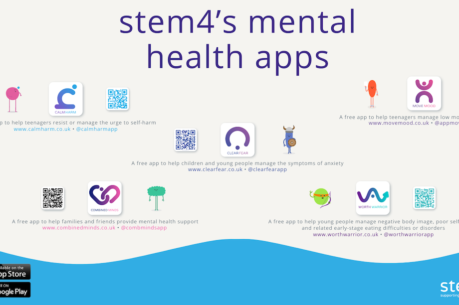 Third Sector Awards: Small Charity of the Year – stem4 | Third Sector