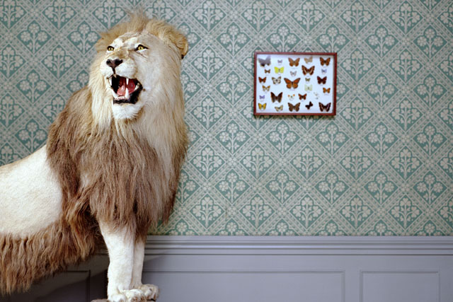 Dave extends its brand with live comedy shows | Campaign US