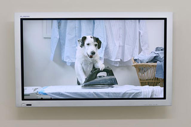 Thinkbox prepares Harvey the dog TV ad for Christmas