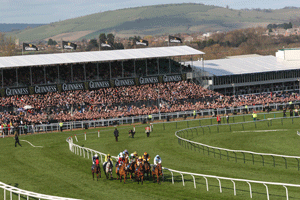 The Open 2011 at Cheltenham Racecourse