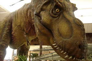 Interactive dinosaur experience to be installed on Oxford Street