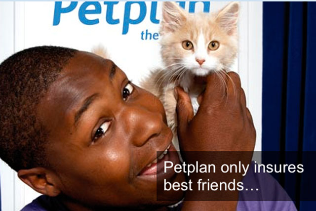 Petplan kicks off hunt for ad agency