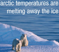 WWF launches polar bear mailer through WWAV | Campaign US