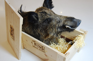 Vinnie the Panda launches Ebay site