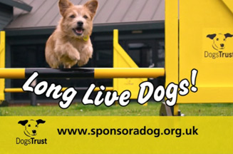 Dogs Trust plots fresh TV activity