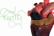 Animated heart features in BHF ad campaign
