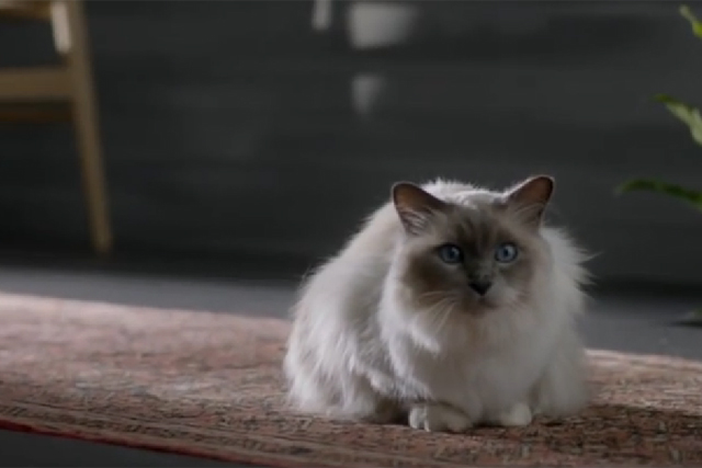 Cisco borrows Internet of Everything for latest ad | Campaign US