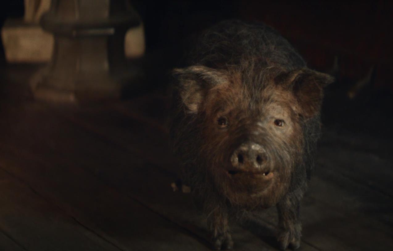 Confused.com tweaks ad approach with new elements